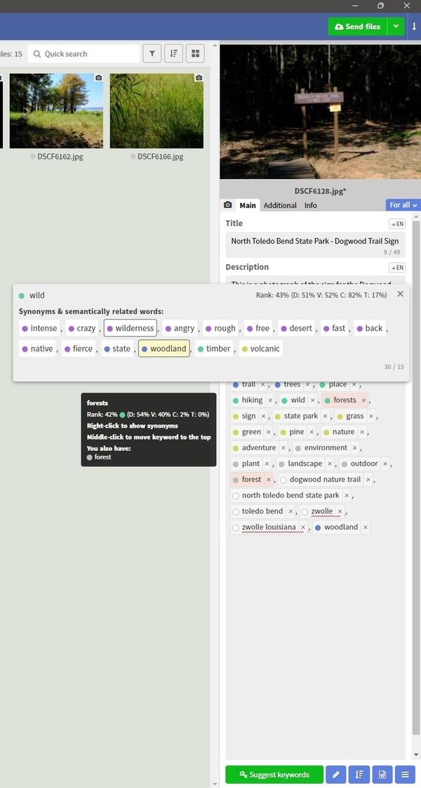 ImStocker Studio Review